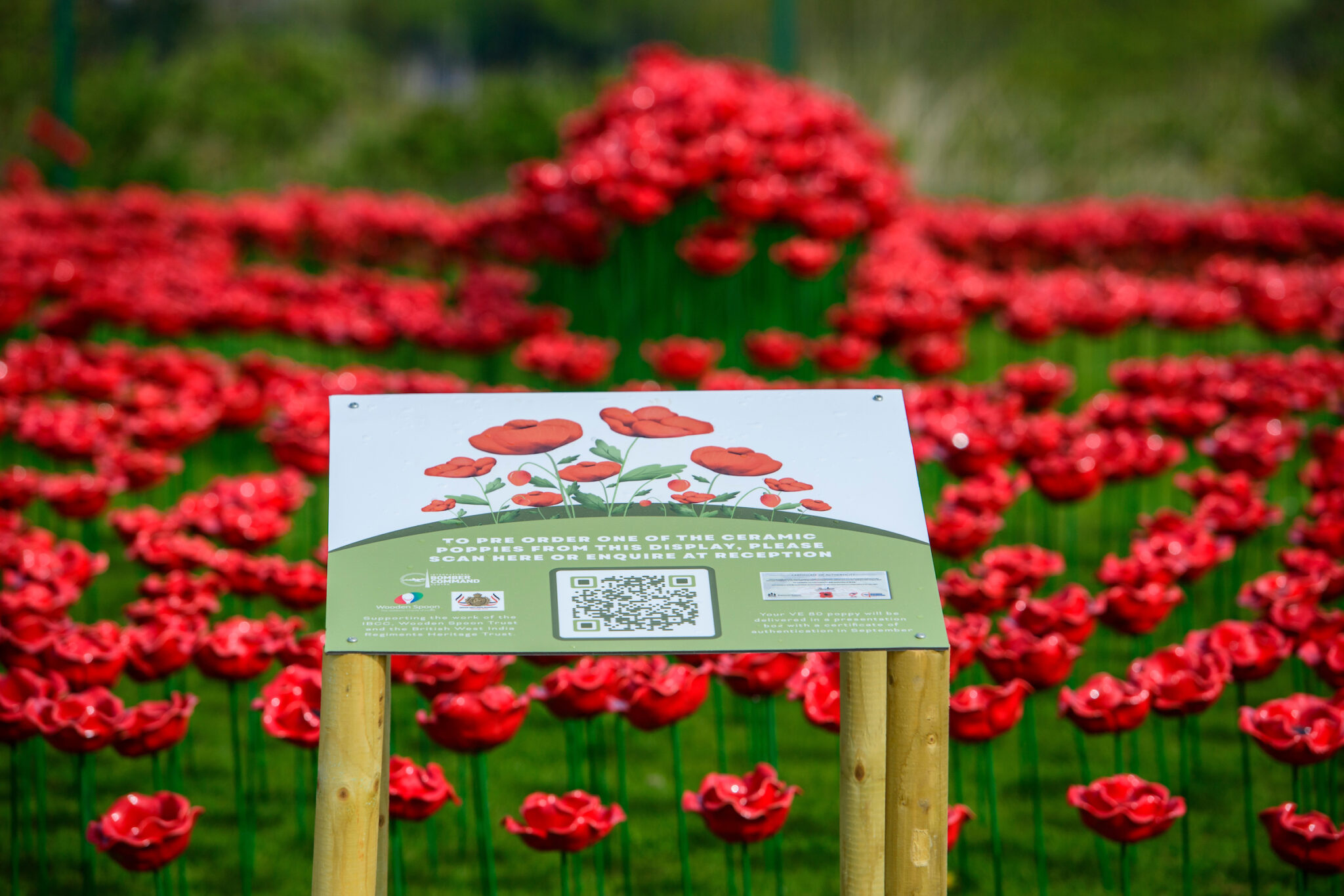 Lindum Volunteers Support Striking Poppy Display at International ...